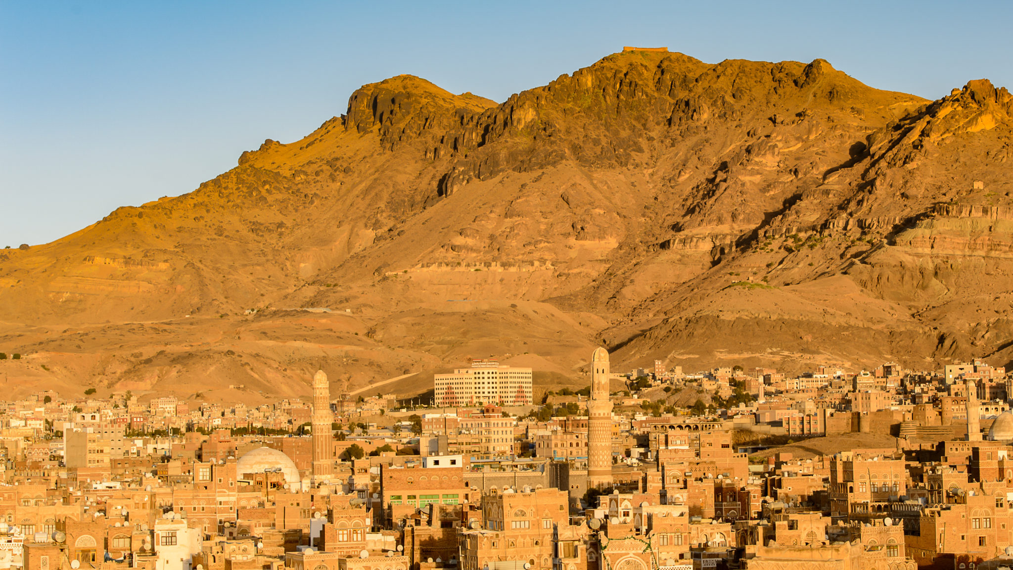 Miel de jujubier Royale al-Osaimi | Royal Honey Sidr Osaimi Yemen